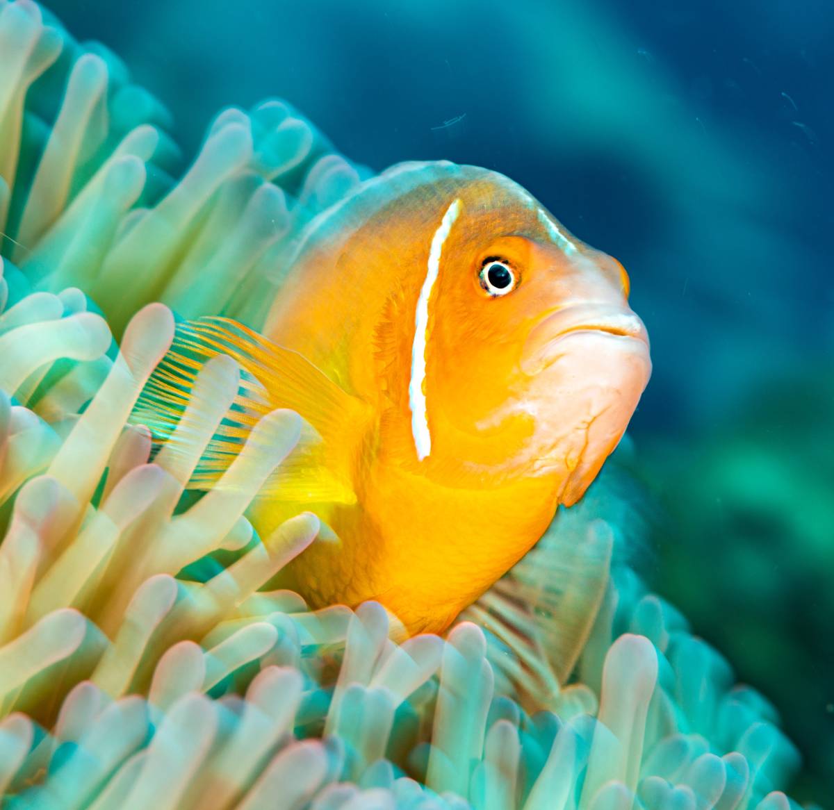 National Geographic | Your Lens